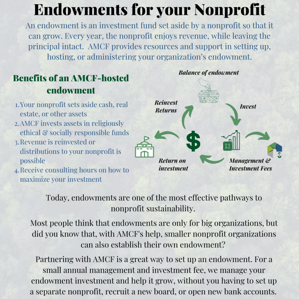Endowments-opening - American Muslim Community Foundation